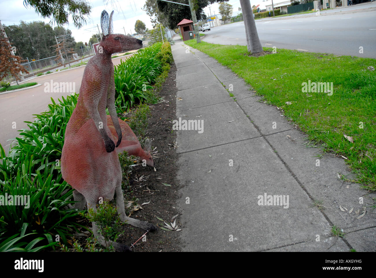 Wire-mesh kangaroos by footpath Stock Photo - Alamy