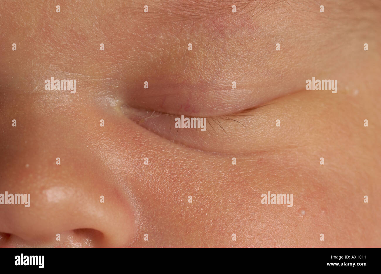 Close up photo of a newborn baby s eye and nose Stock Photo - Alamy