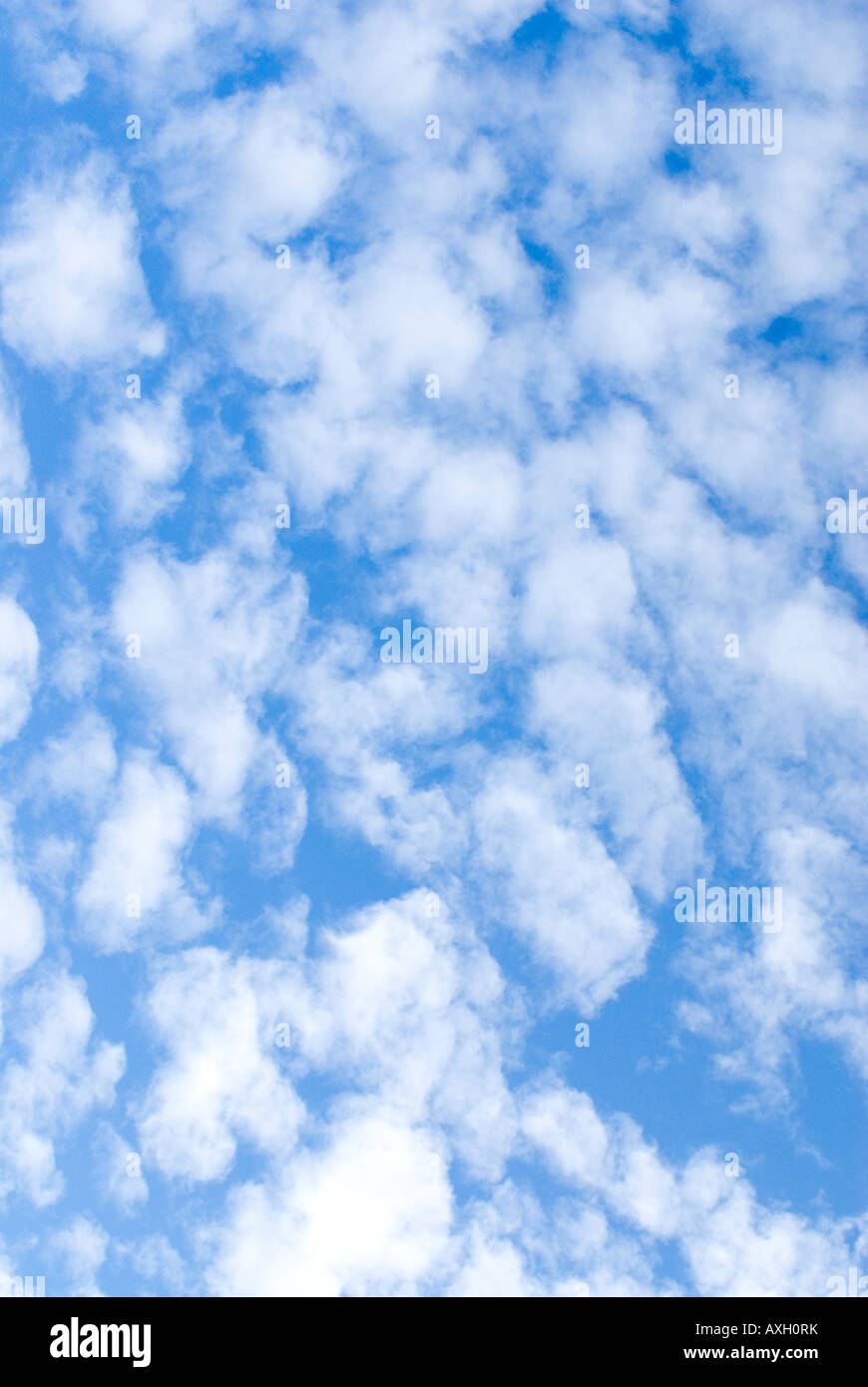 Scattered small white cumulus clouds hi-res stock photography and ...