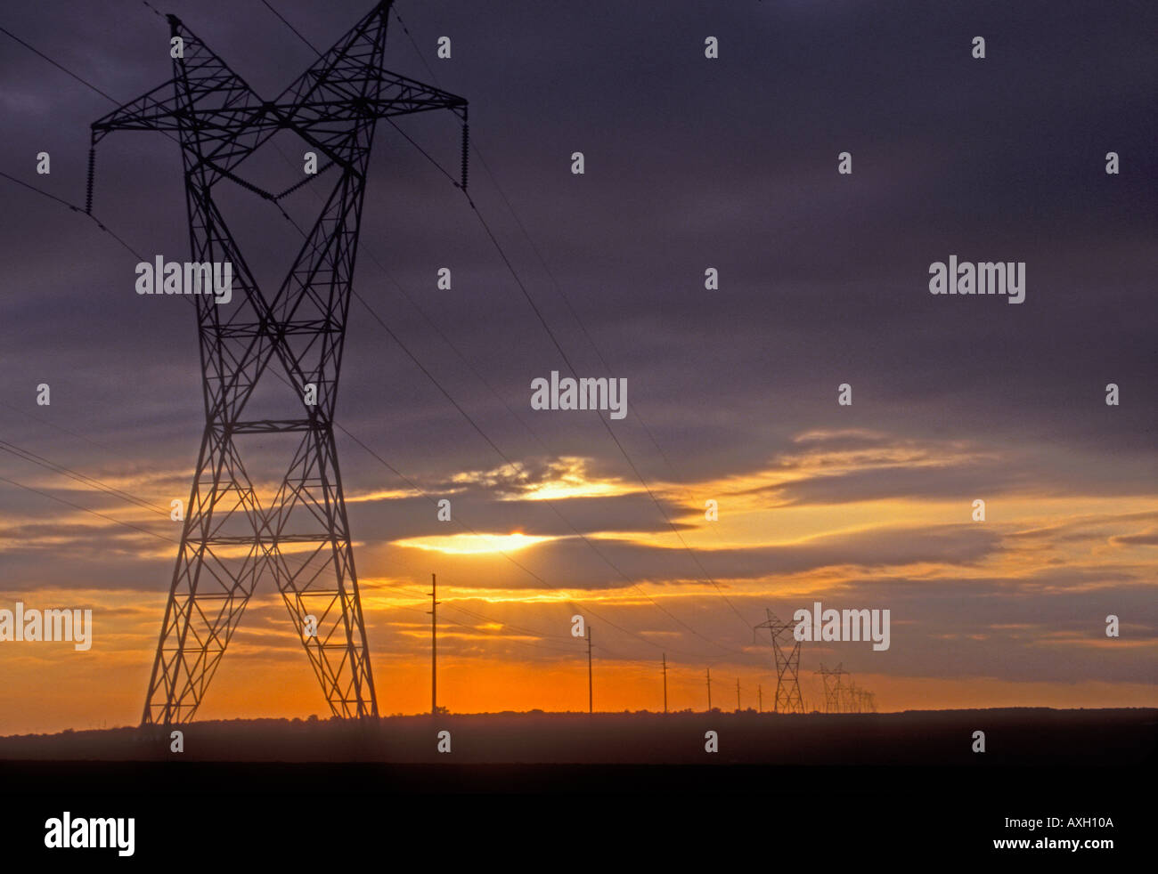 high voltage transmission power lines in Florida USA Stock Photo - Alamy