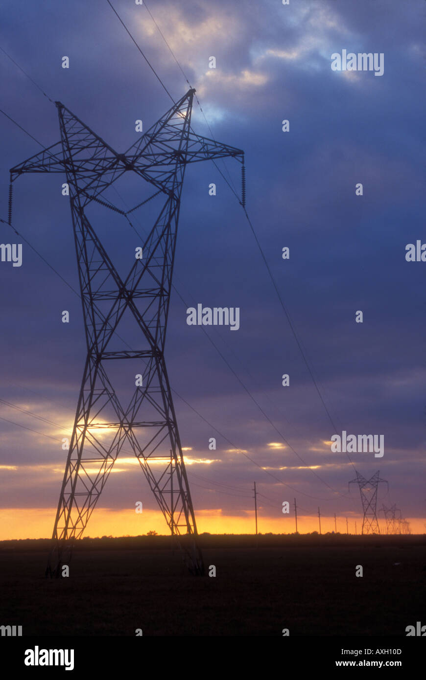 high voltage transmission power lines in Florida USA Stock Photo - Alamy