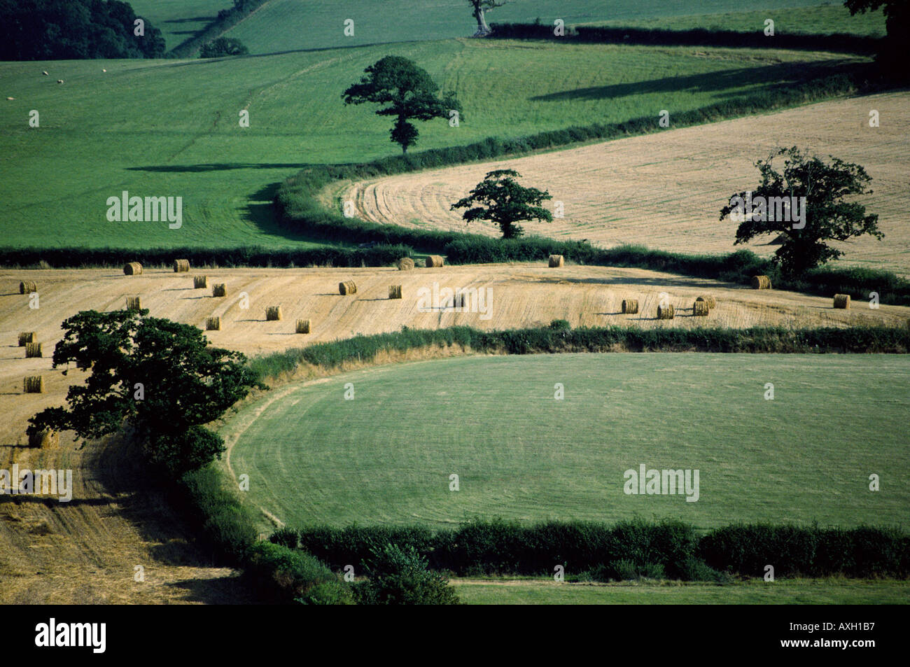 From crediton hi-res stock photography and images - Alamy