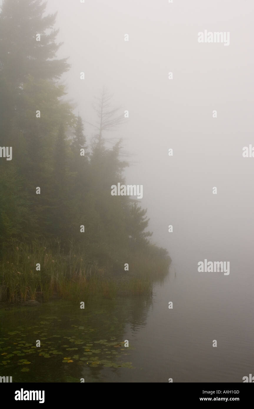 A THICK FOG COVERS THE PINE SHORELINE OF SHAGAWA LAKE IN NORTHERN ...