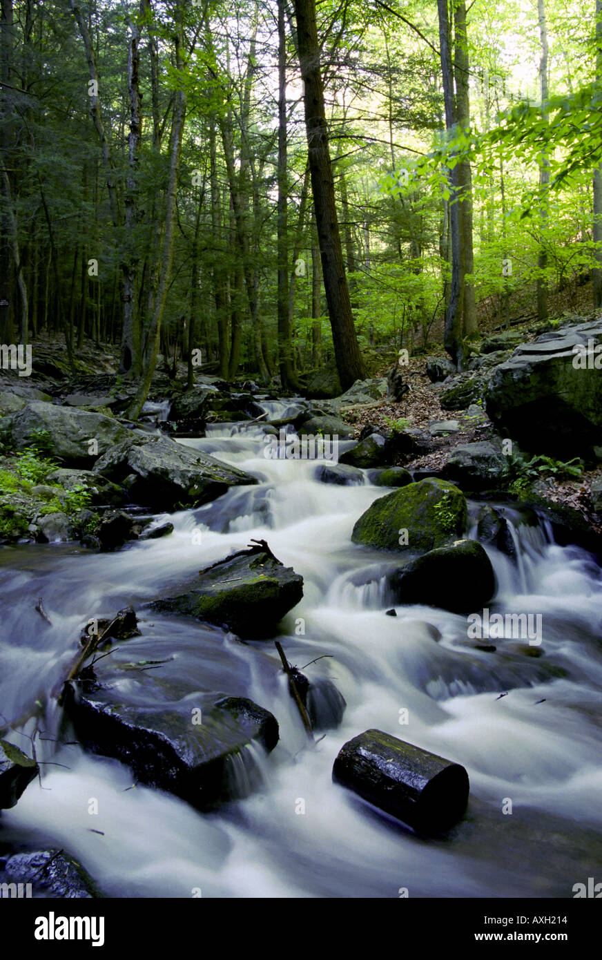 Bushkill creek hi-res stock photography and images - Alamy