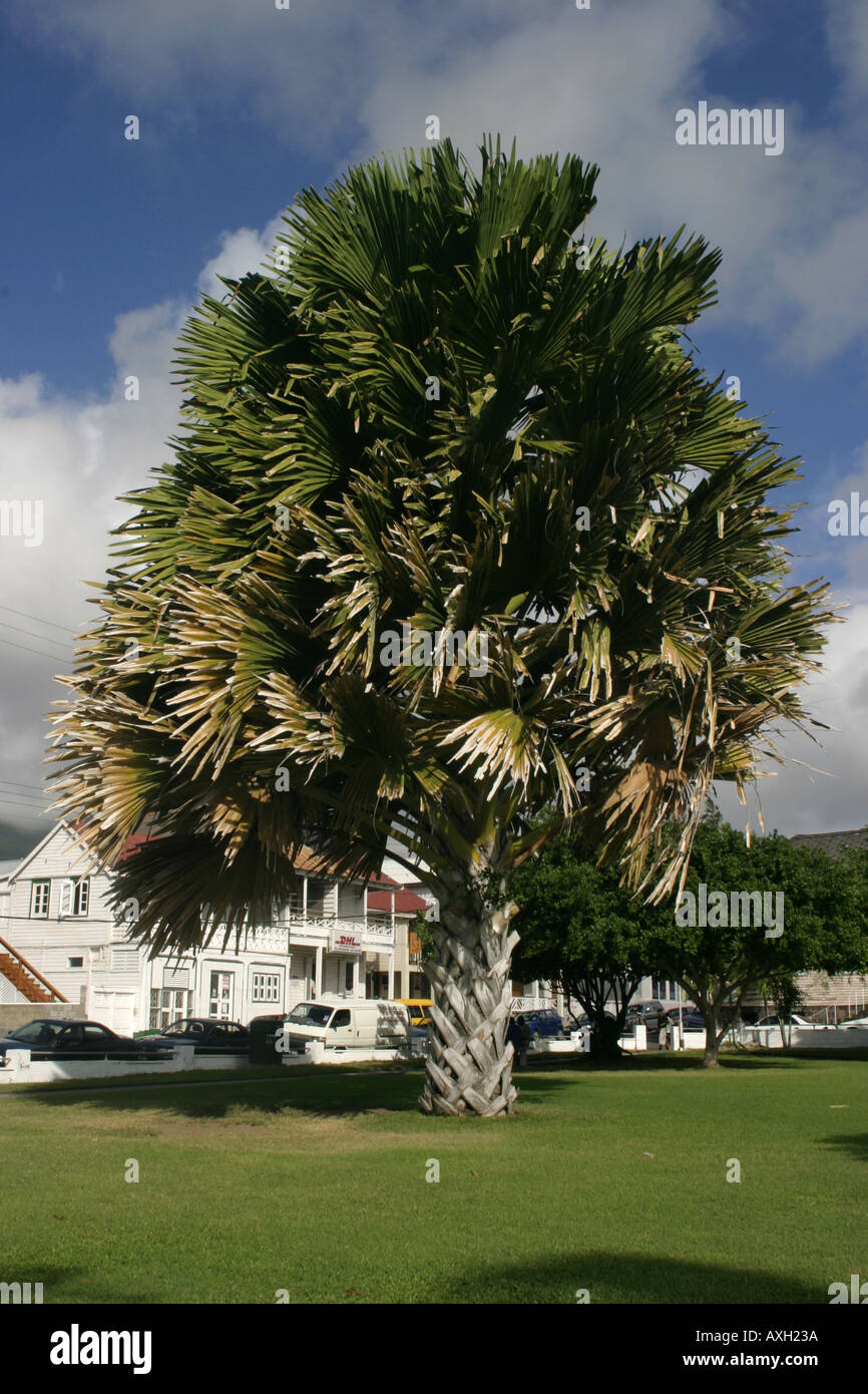 Independencesquare hi-res stock photography and images - Alamy