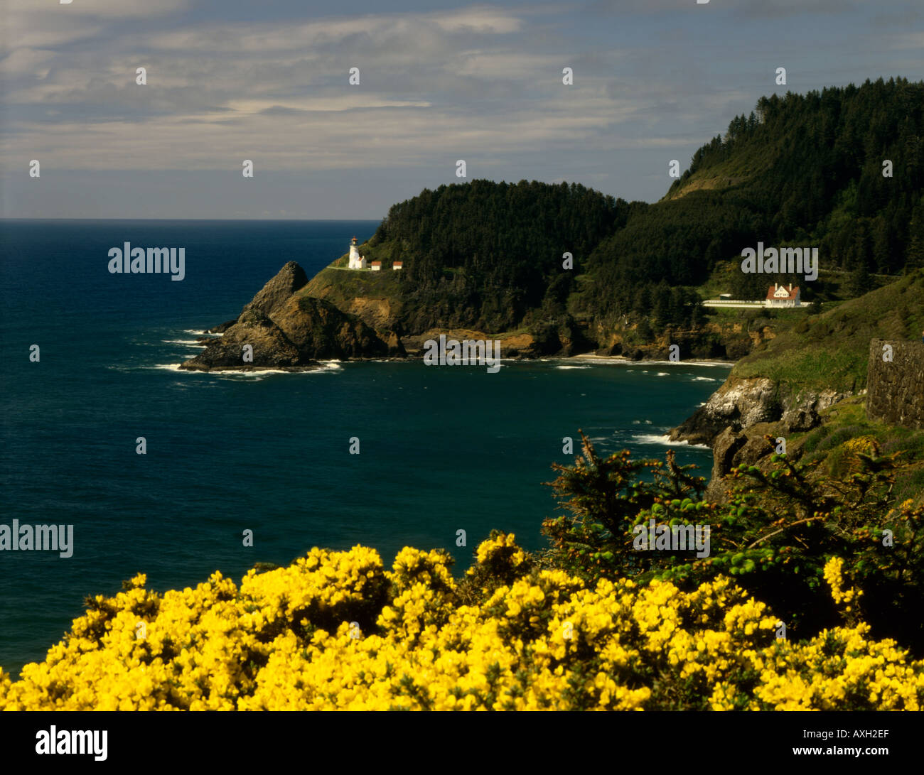 Heceta Head Lighthouse at Devils Elbow State Park on the Oregon Coast ...