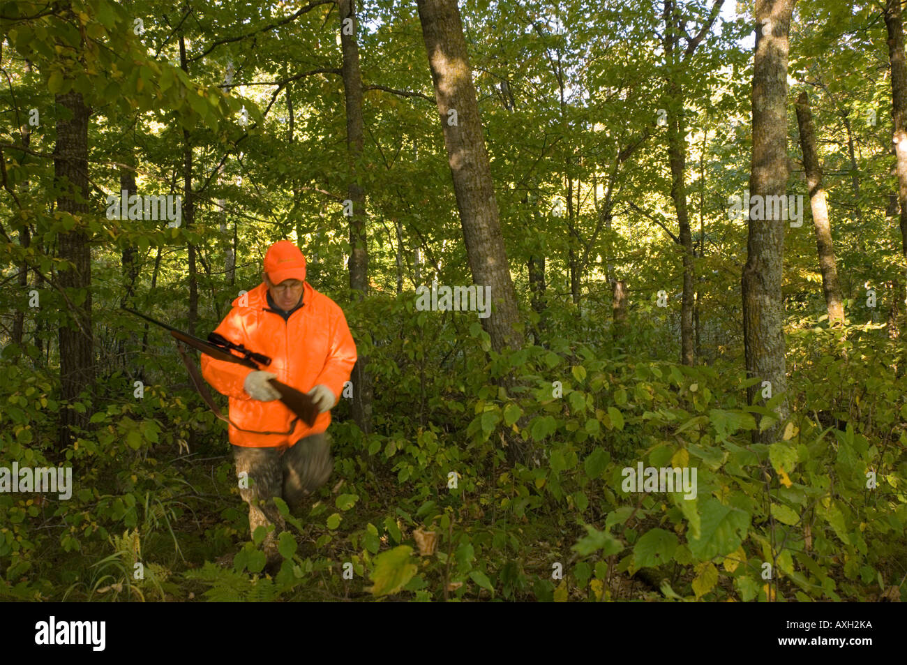 Hunter rifle walking woods hi-res stock photography and images - Alamy
