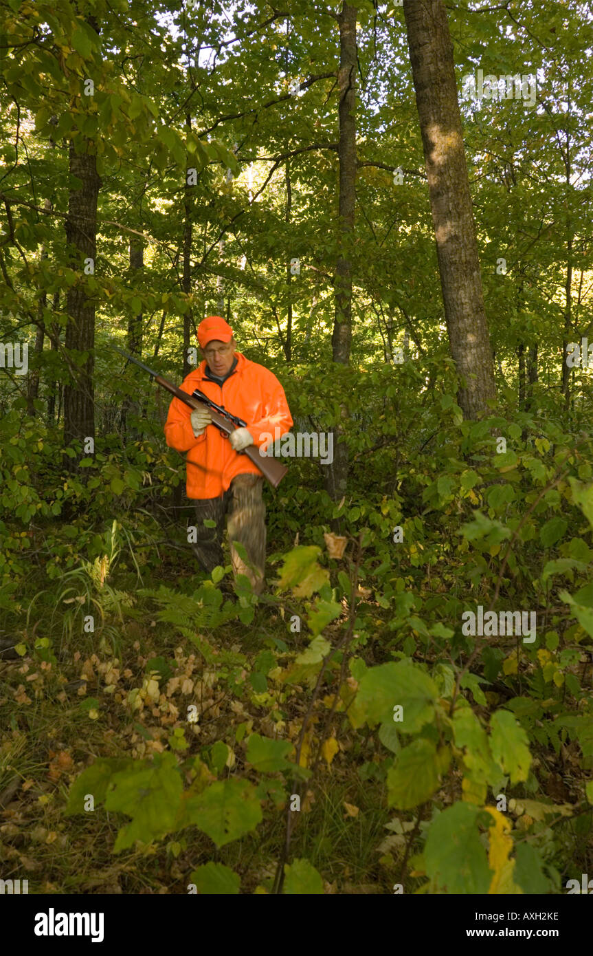 Hunter rifle walking woods hi-res stock photography and images - Alamy