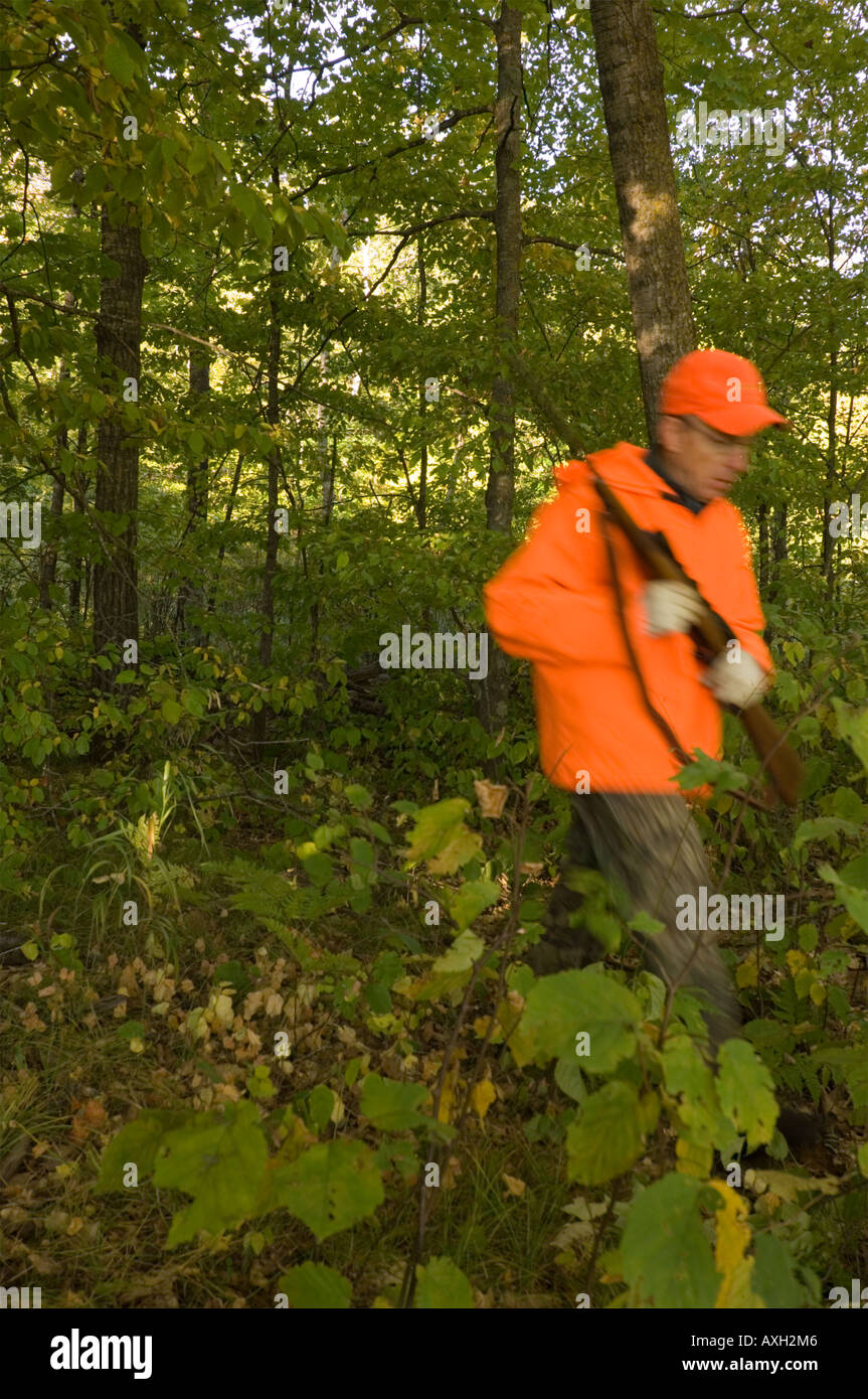 Hunter rifle walking woods hi-res stock photography and images - Alamy