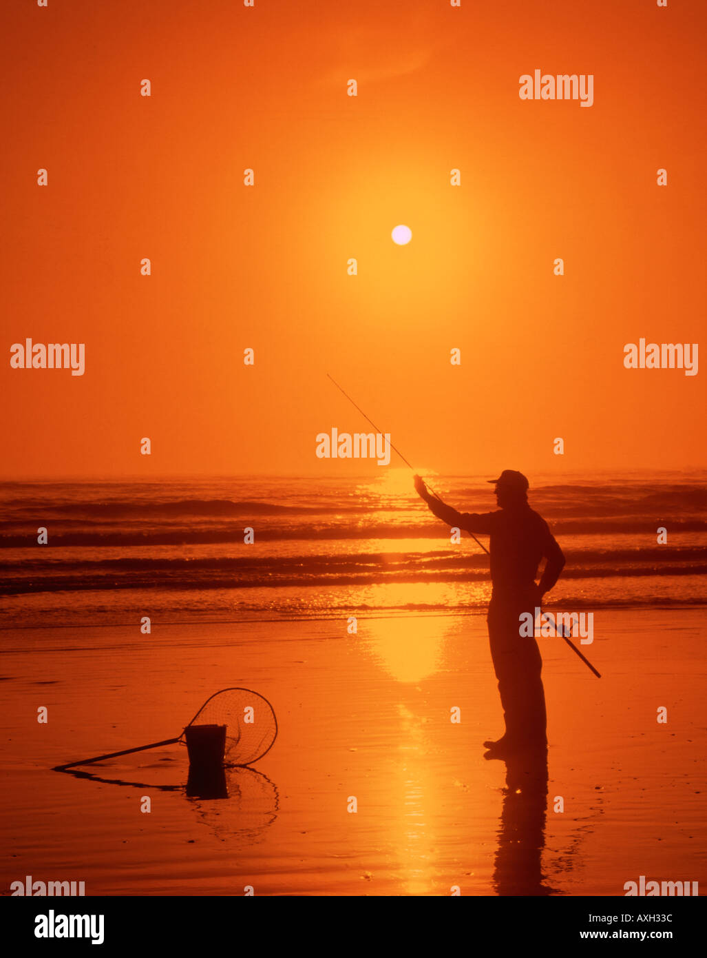 Silhouetted sunset scene of surf fisherman checking his equipment on a ...