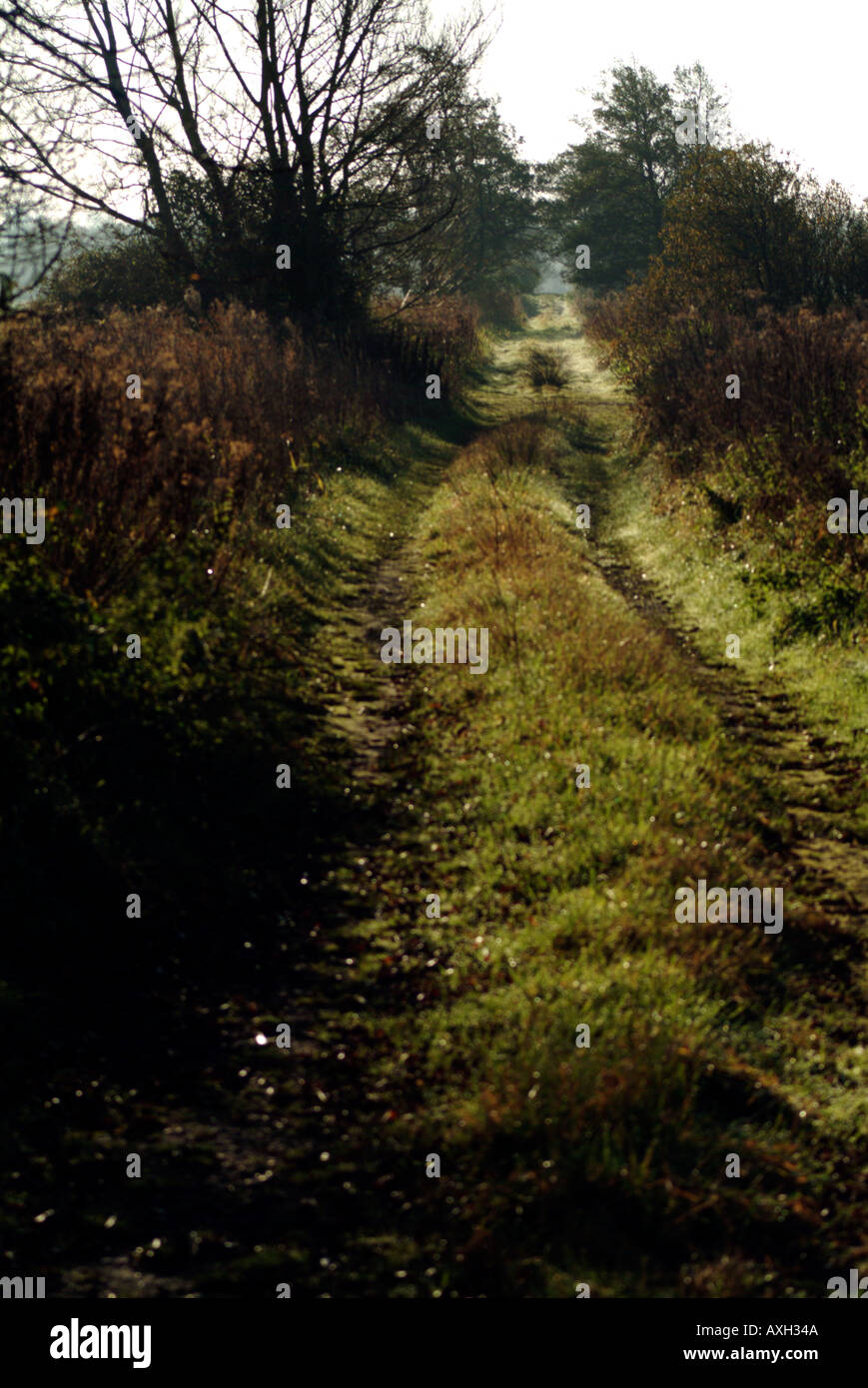 disused railway line Broome Norfolk Stock Photo - Alamy