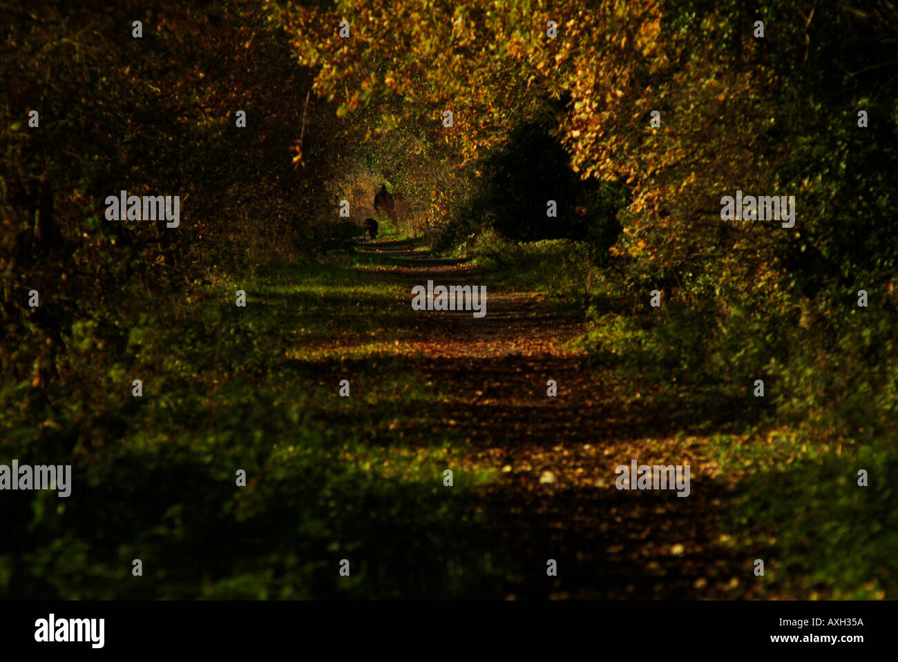 Suffolk norfolk border hi-res stock photography and images - Alamy