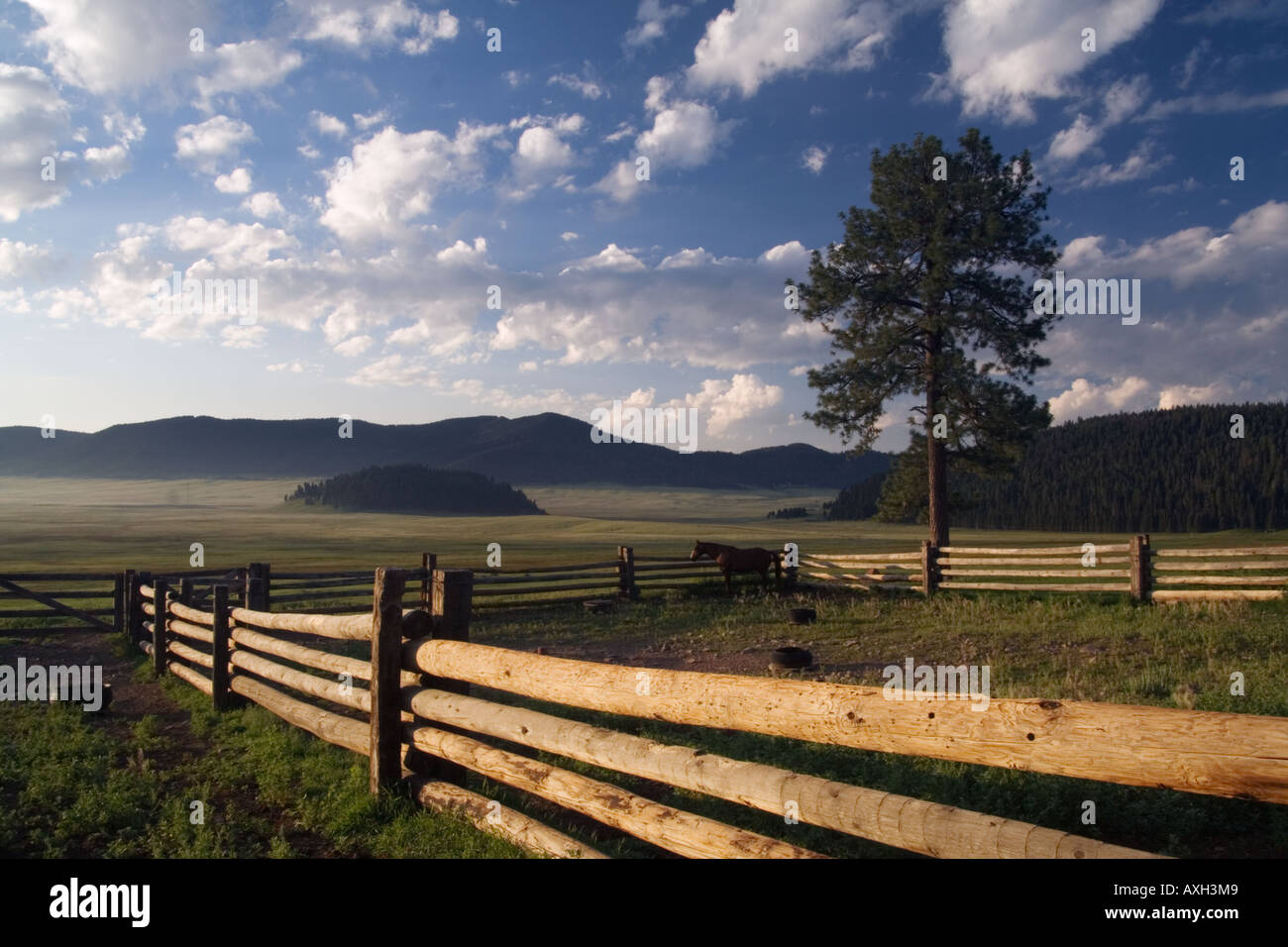 Horse corral at the ranch in the Valle Grande, Valles Caldera National ...