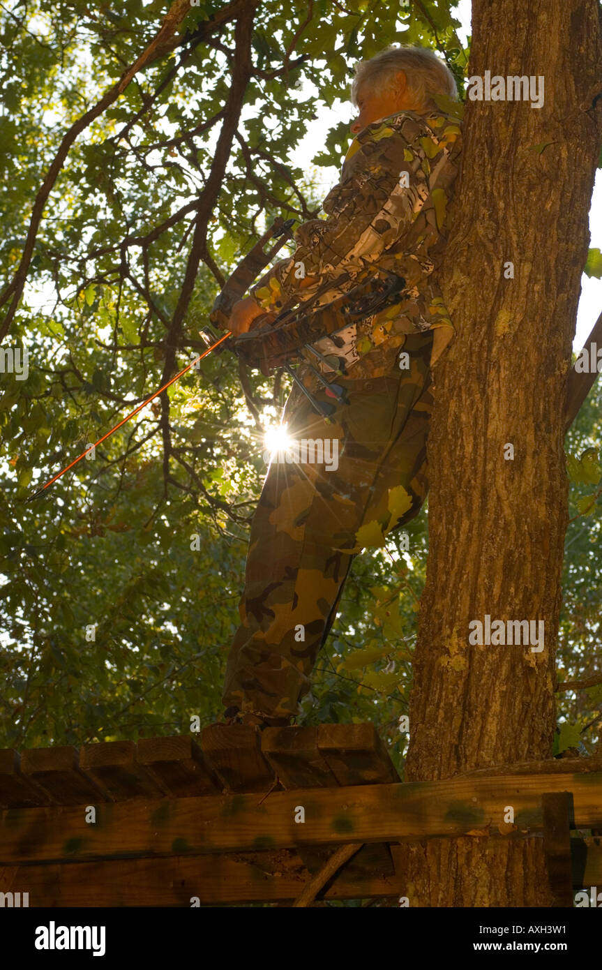 Bow hunter tree stand hi-res stock photography and images - Alamy