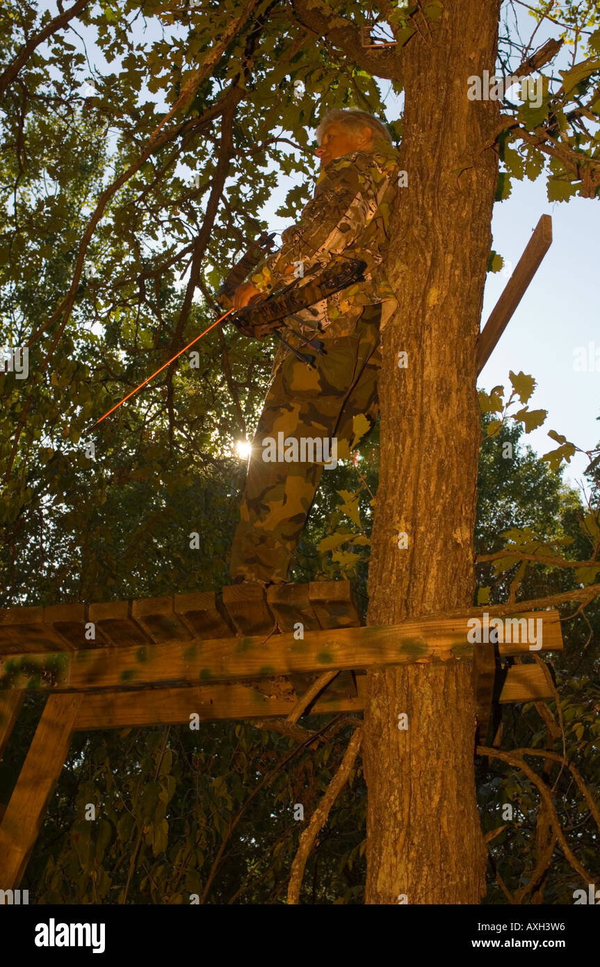 Bow hunter tree stand hi-res stock photography and images - Alamy