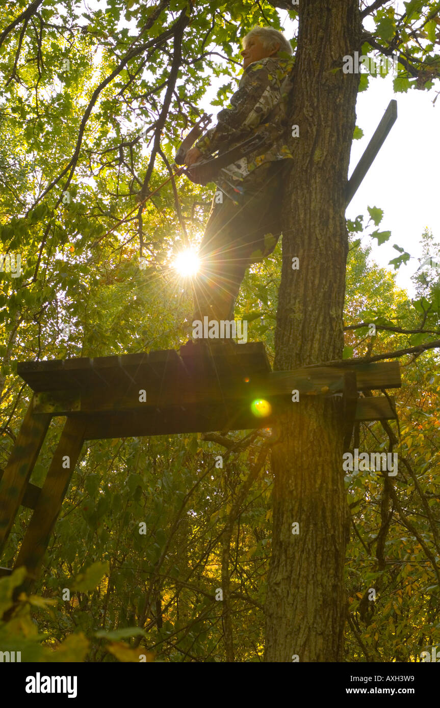 Bow hunter tree stand hi-res stock photography and images - Alamy
