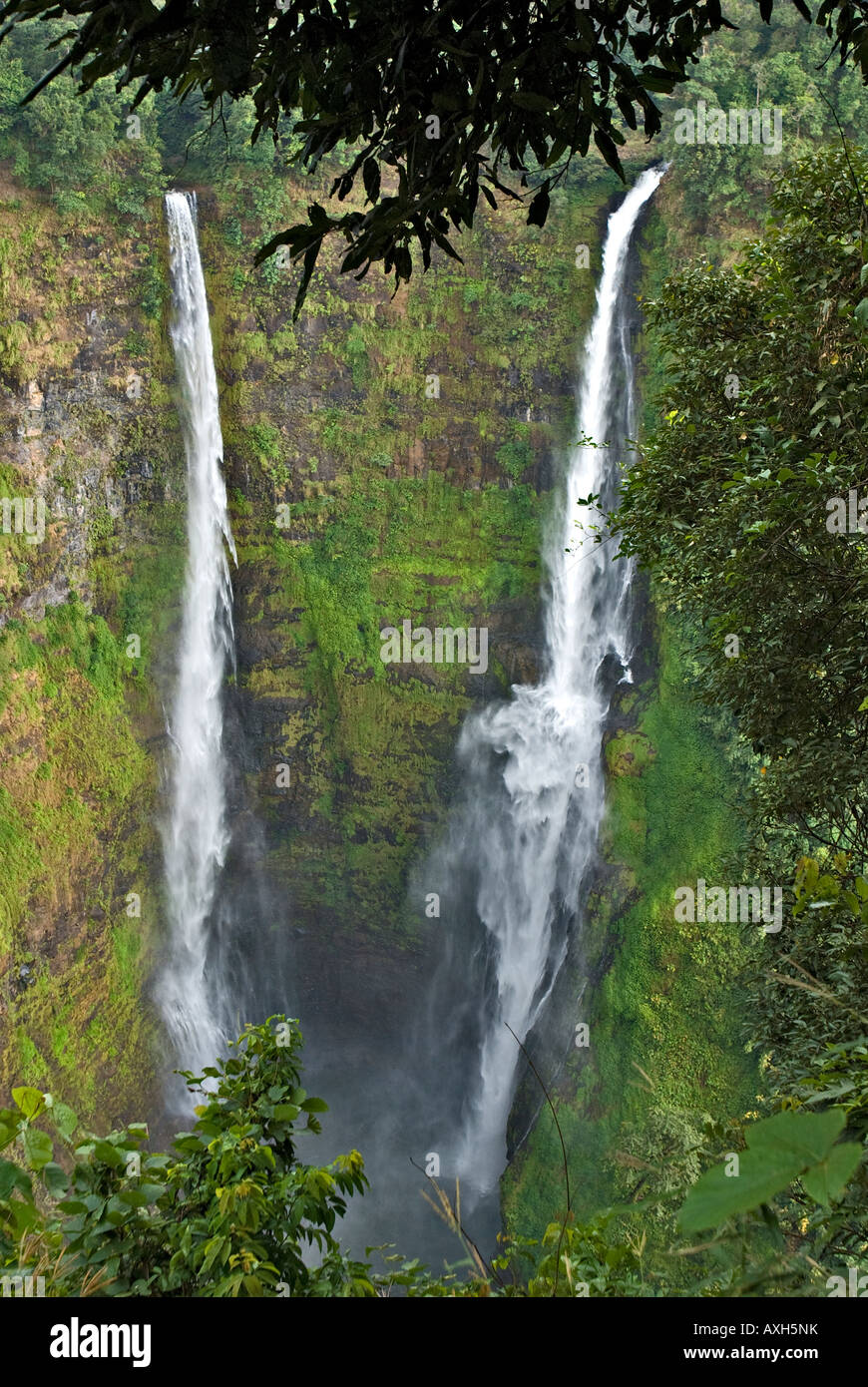 Waterfall in bolaven hill, Laos Stock Photo - Alamy