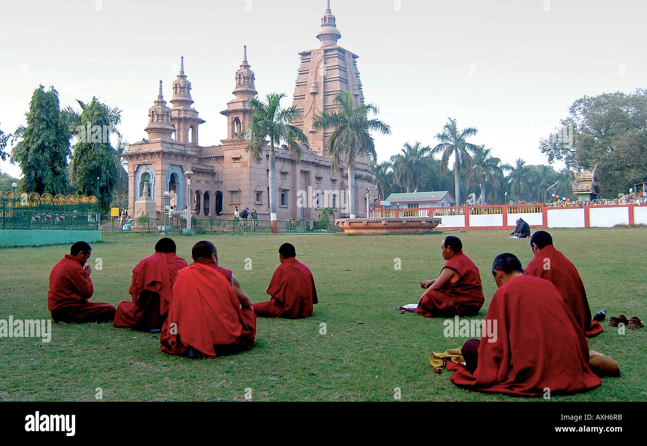 Mulgandha kuti temple hi-res stock photography and images - Alamy