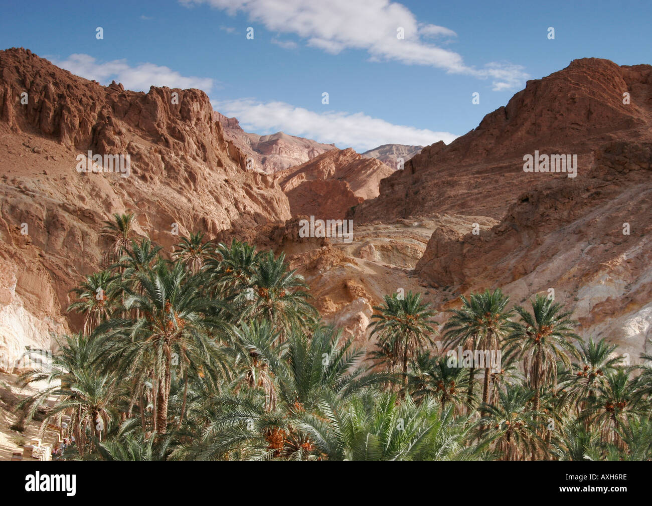 Panoramic view chebika oasis in hi-res stock photography and images - Alamy