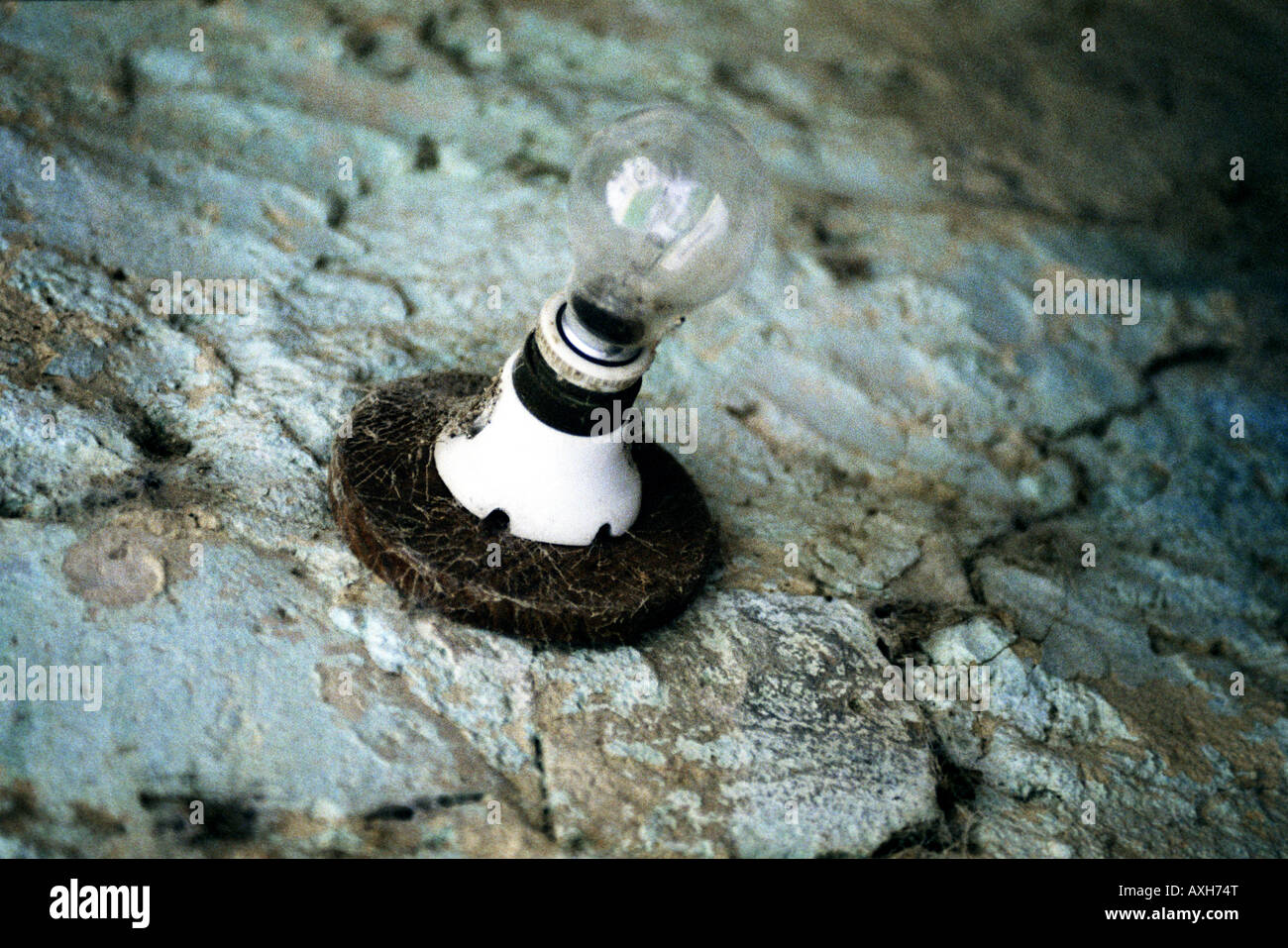 Old fashioned light bulb covered in cobwebs on blue wall Stock Photo ...