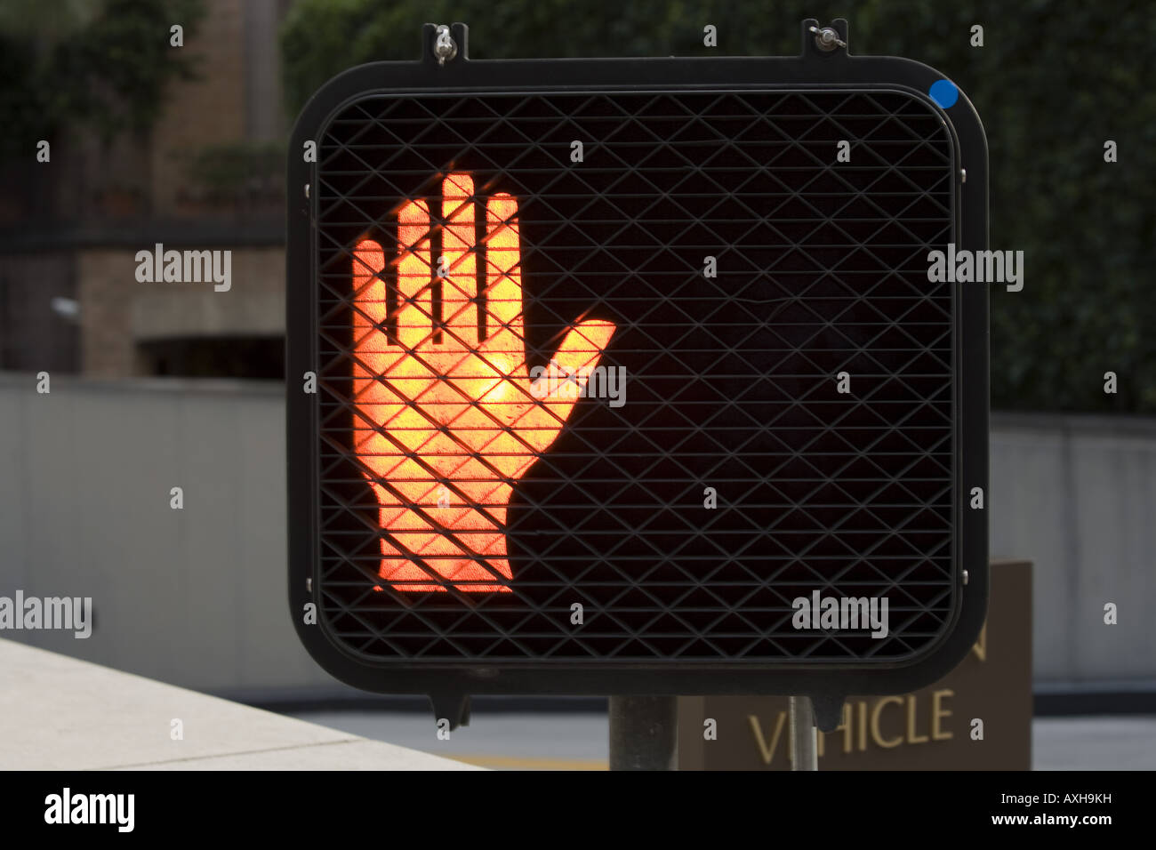 "Don't Walk" sign Stock Photo - Alamy