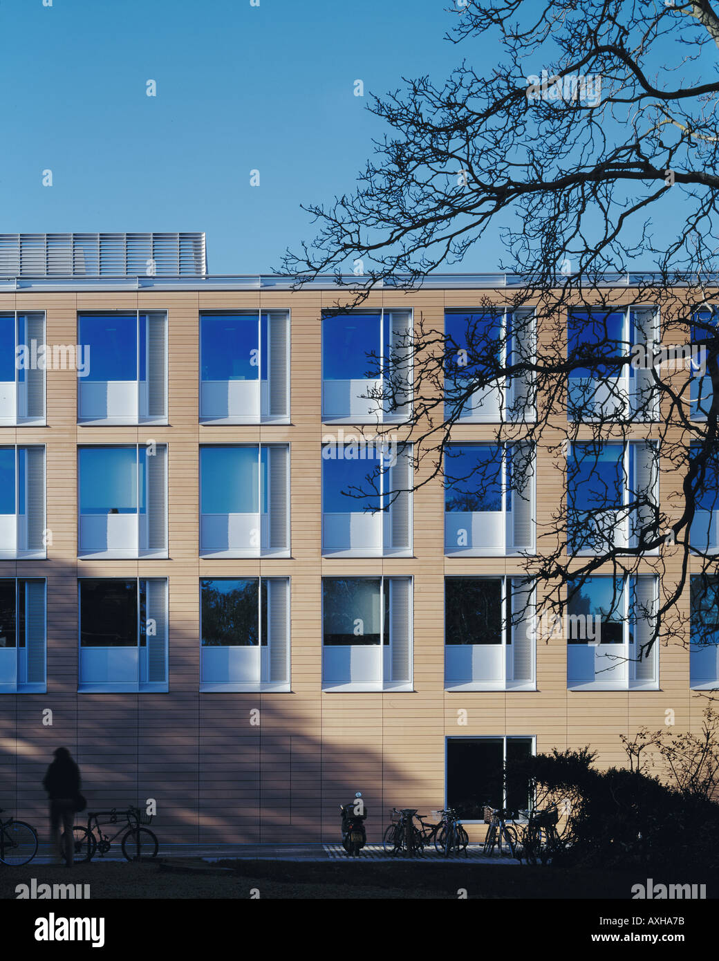 FACULTY OF ENGLISH CAMBRIDGE UNIVERSITY Stock Photo - Alamy