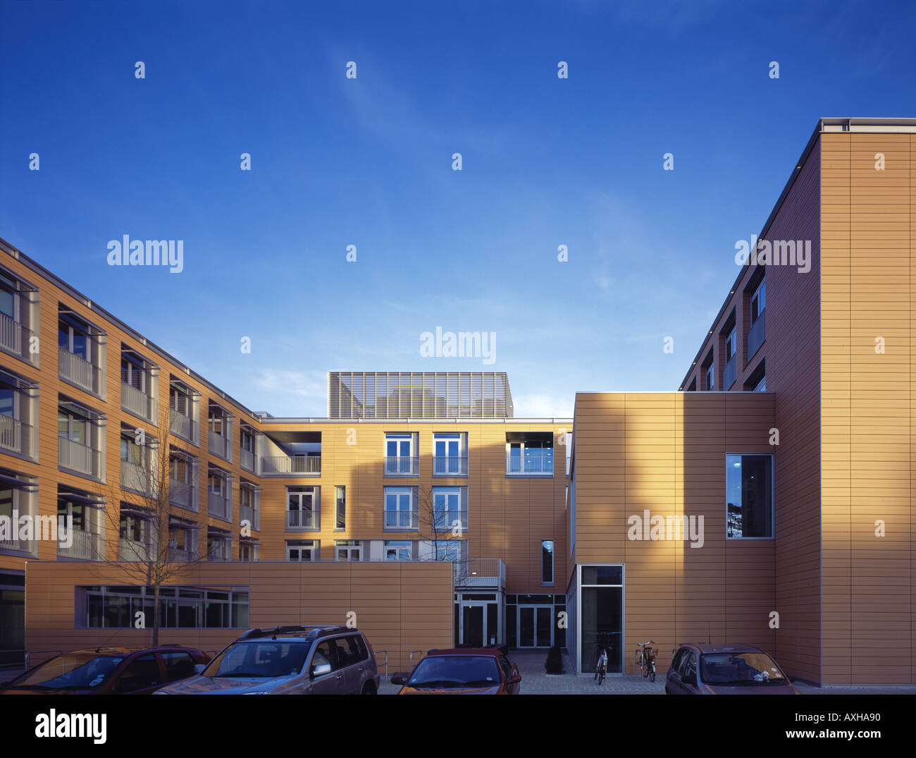 FACULTY OF ENGLISH CAMBRIDGE UNIVERSITY Stock Photo - Alamy