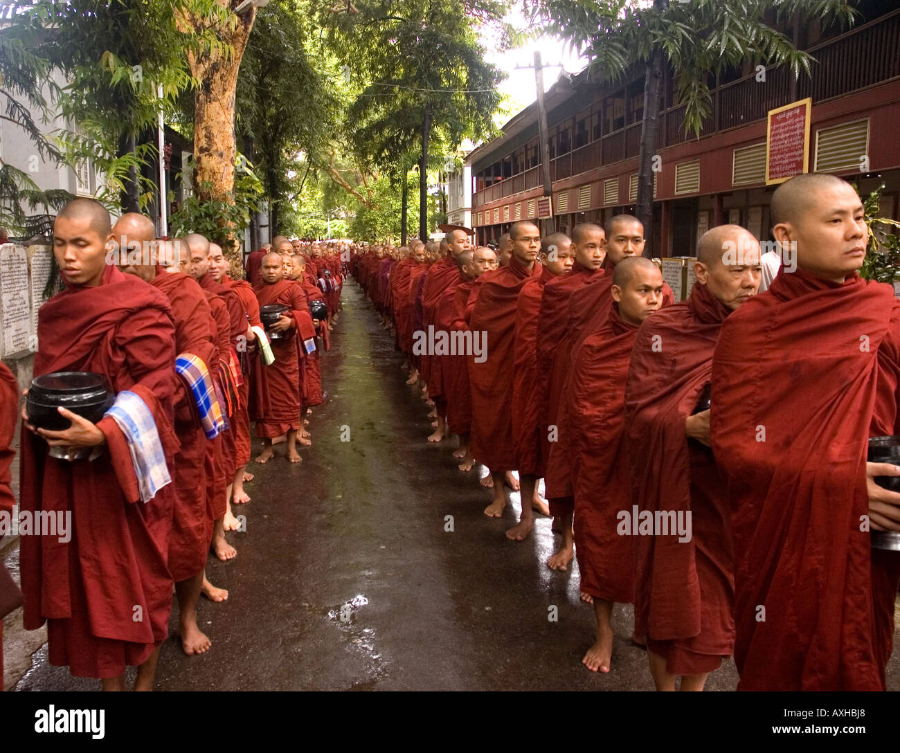 Stock photograph of young Burmese monks in line for their daily meal at ...