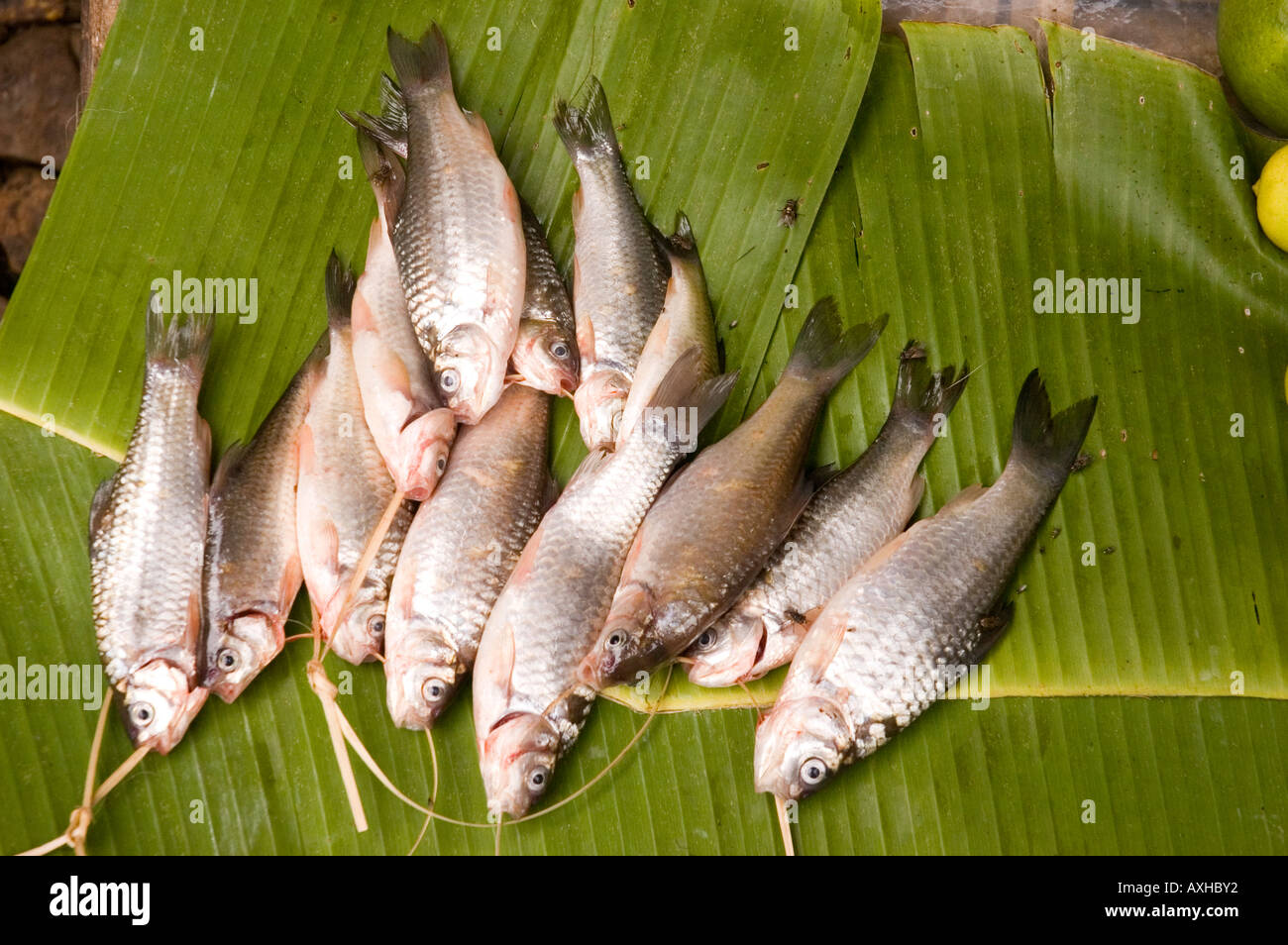 Banana leaf fish hi-res stock photography and images - Alamy