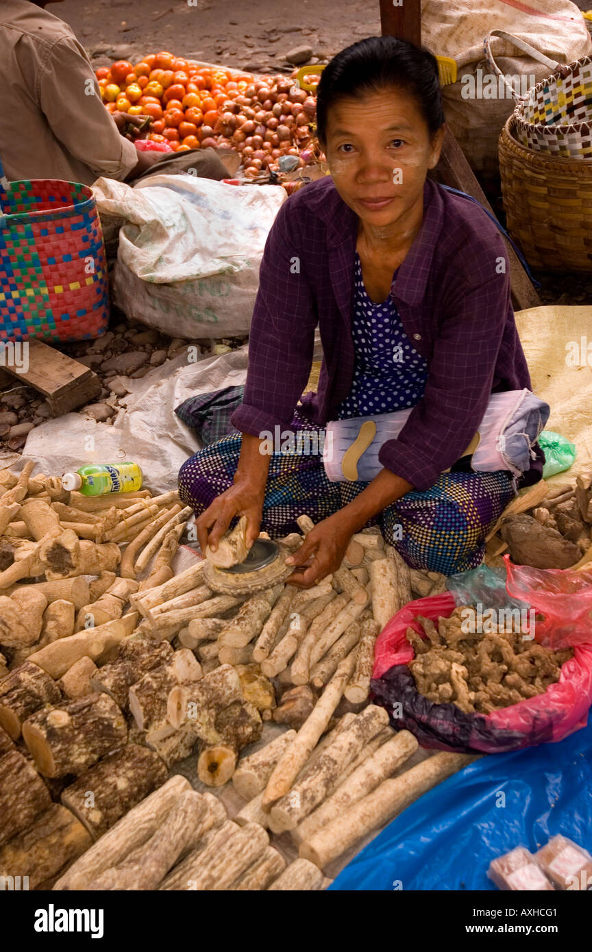 Thanaka tree hi-res stock photography and images - Alamy