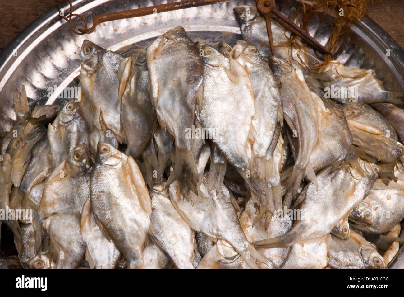 Stock photograph of partly dried fish at Hsipaw market in Myanmar 2006 ...