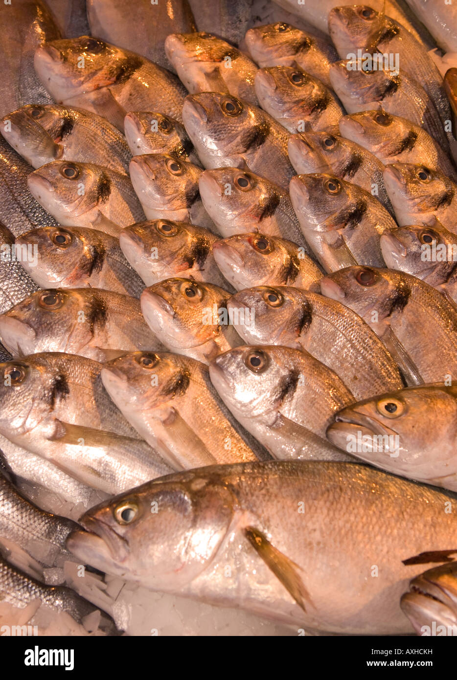 Road signs libya hi-res stock photography and images - Alamy