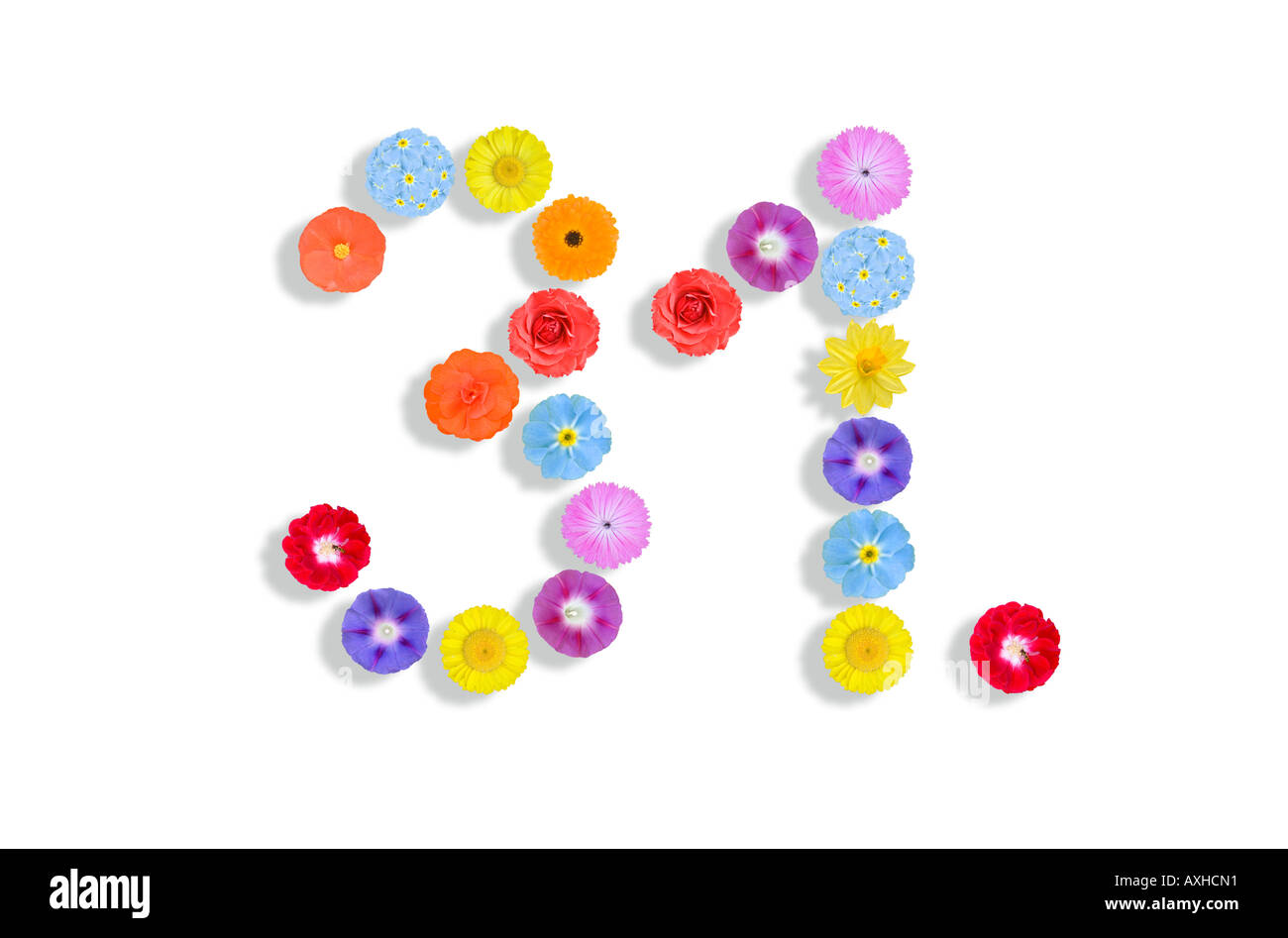 Number 31 Cut Out Stock Images & Pictures - Alamy