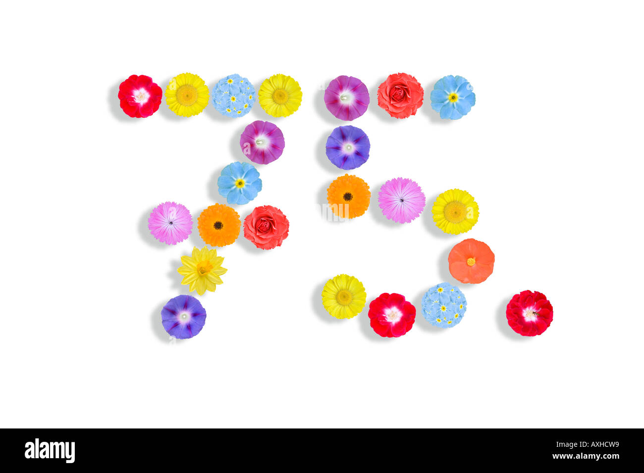 Number 75 hi-res stock photography and images - Alamy