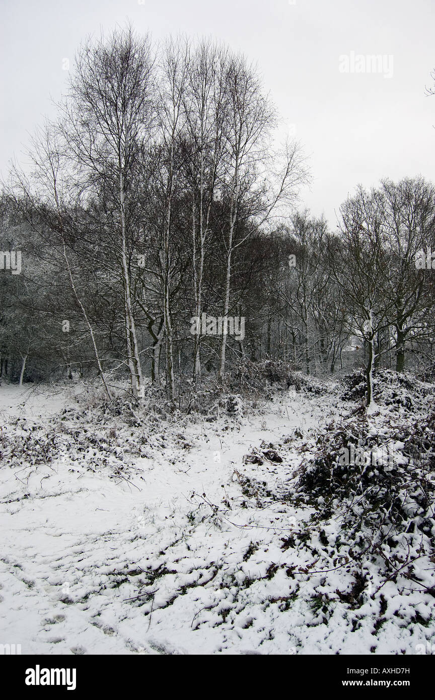 Galleywood hi-res stock photography and images - Alamy