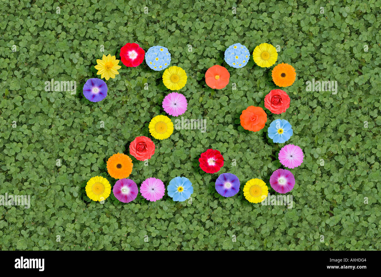 numbers written with flowers Stock Photo - Alamy