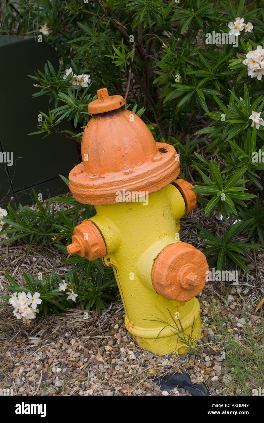 Orange and yellow fire hydrant Padre Island Corpus Christi Texas TX USA ...