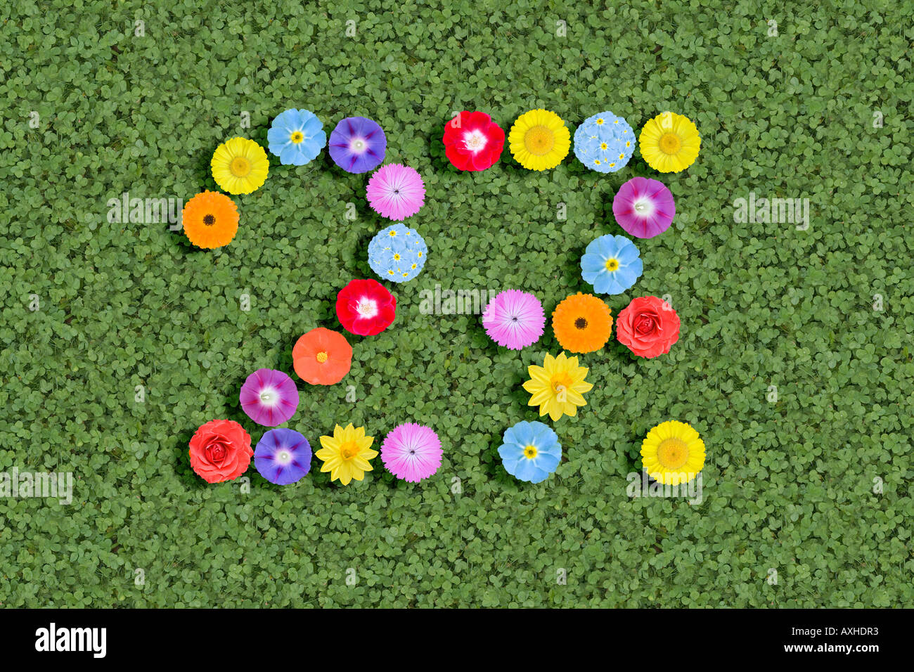 numbers written with flowers 27th Stock Photo - Alamy