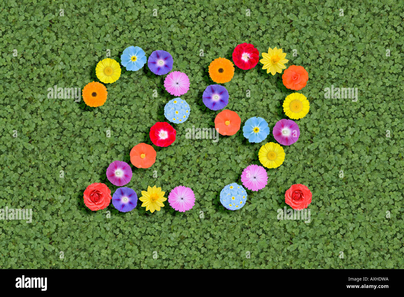 Botany park flower figures hi-res stock photography and images - Alamy