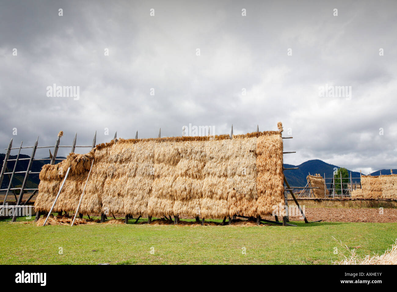 Tibetan style haystack in Yunnan Province Stock Photo - Alamy