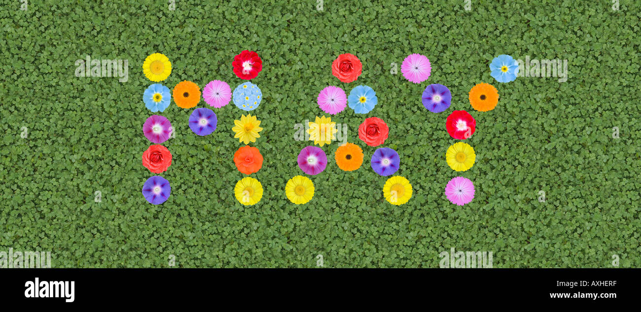 Word may written flowers hi-res stock photography and images - Alamy