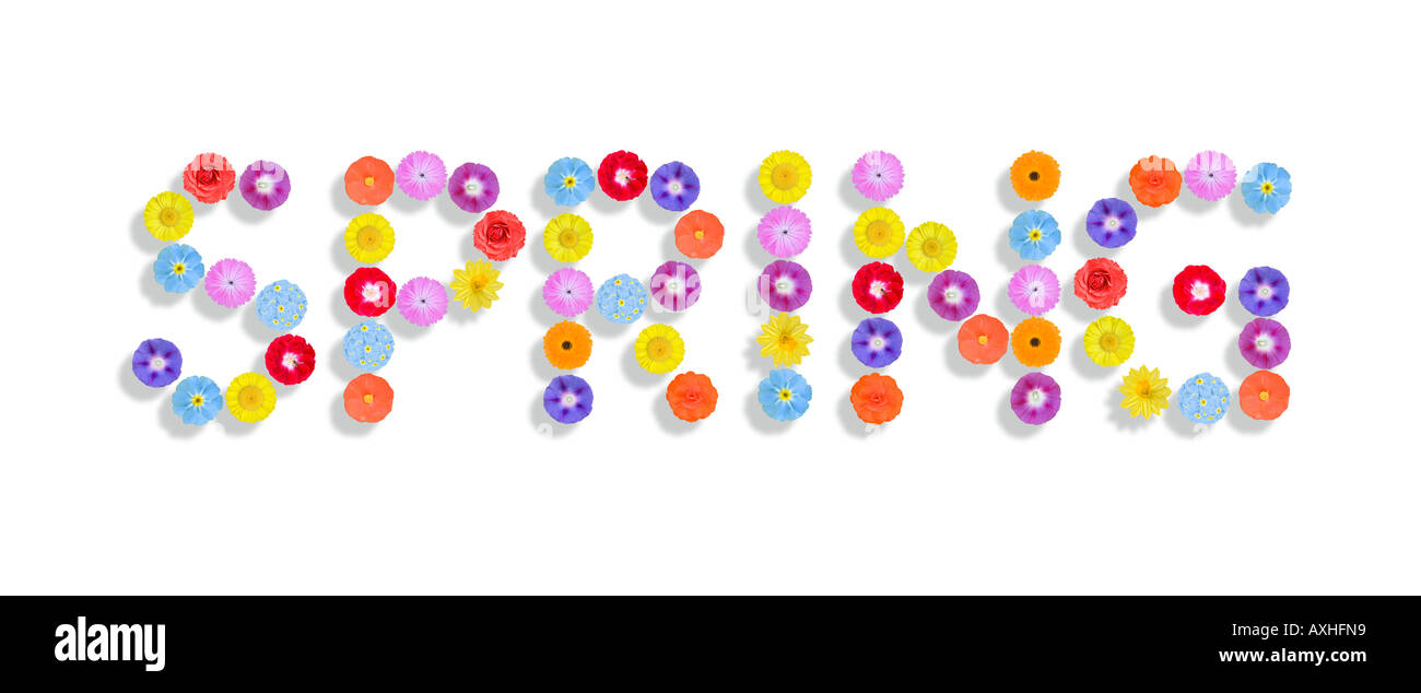 word Spring written with flowers Stock Photo - Alamy