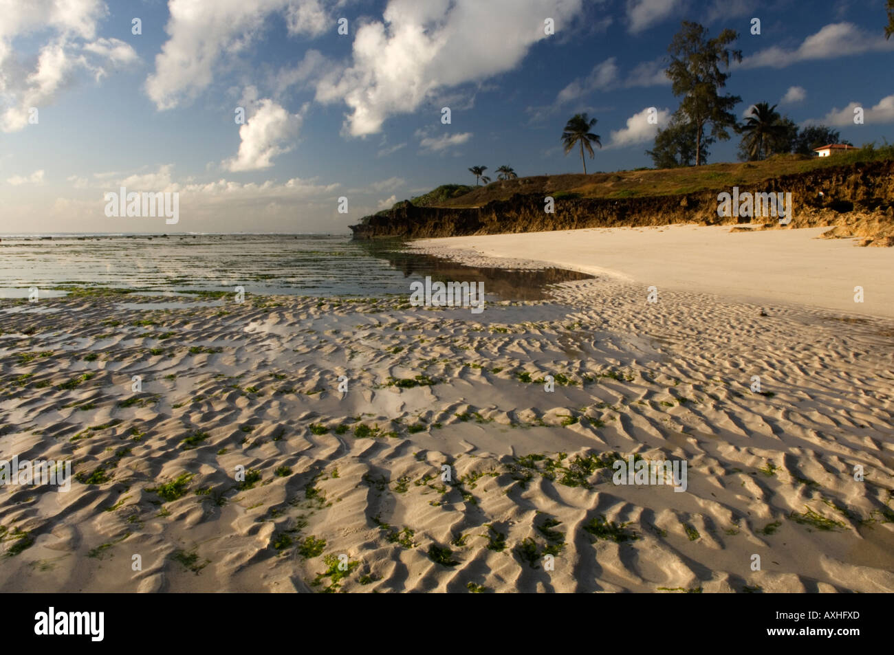 Tanzania Dar-es-Salaam Coco beach Stock Photo - Alamy