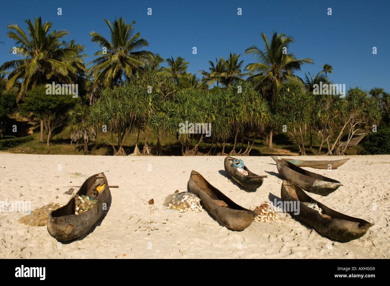 dugout canoes lying on the beach south of Dar-es-Salaam Tanzania Stock ...