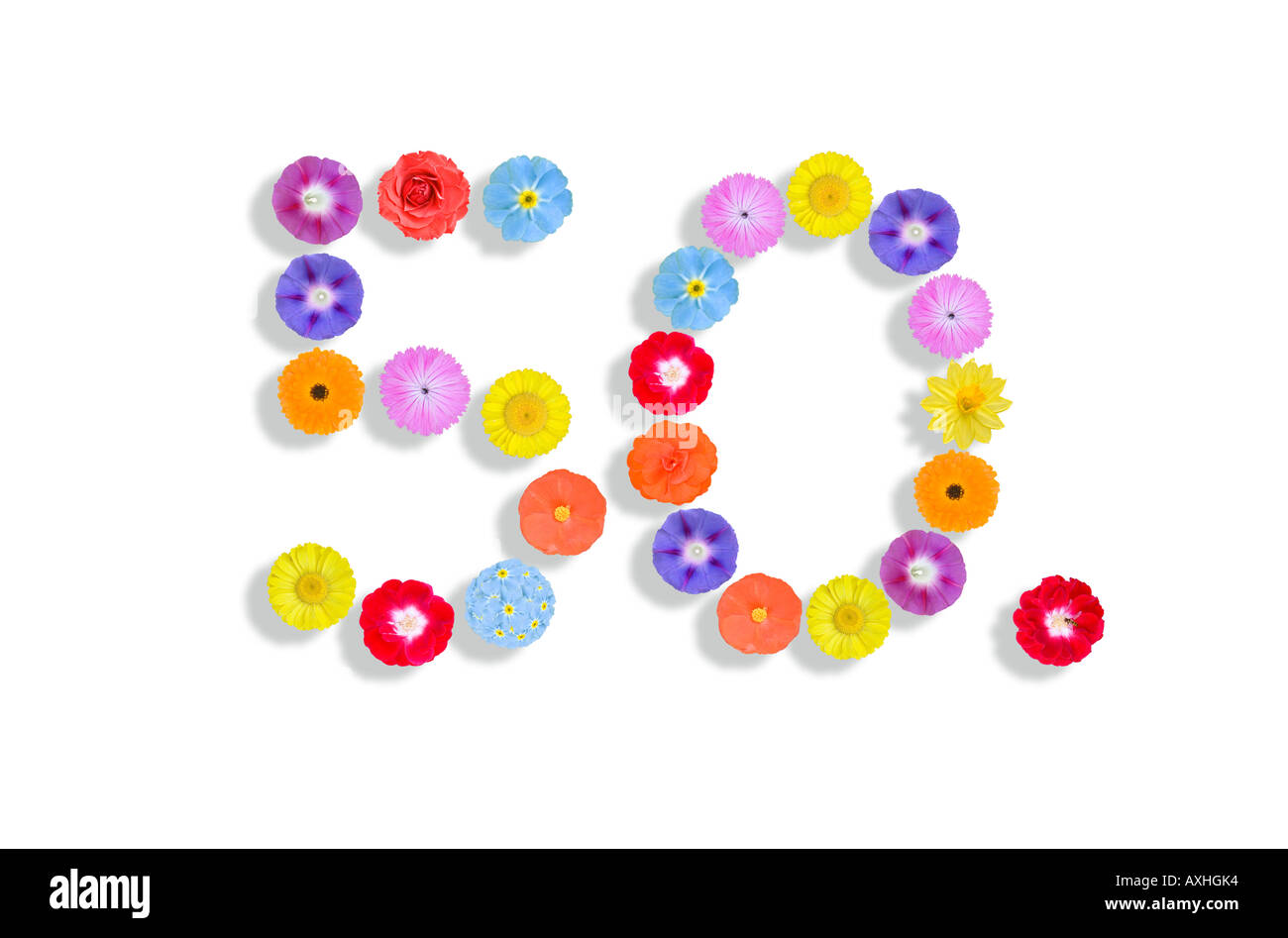 Number 50 Cut Out Stock Images & Pictures - Alamy