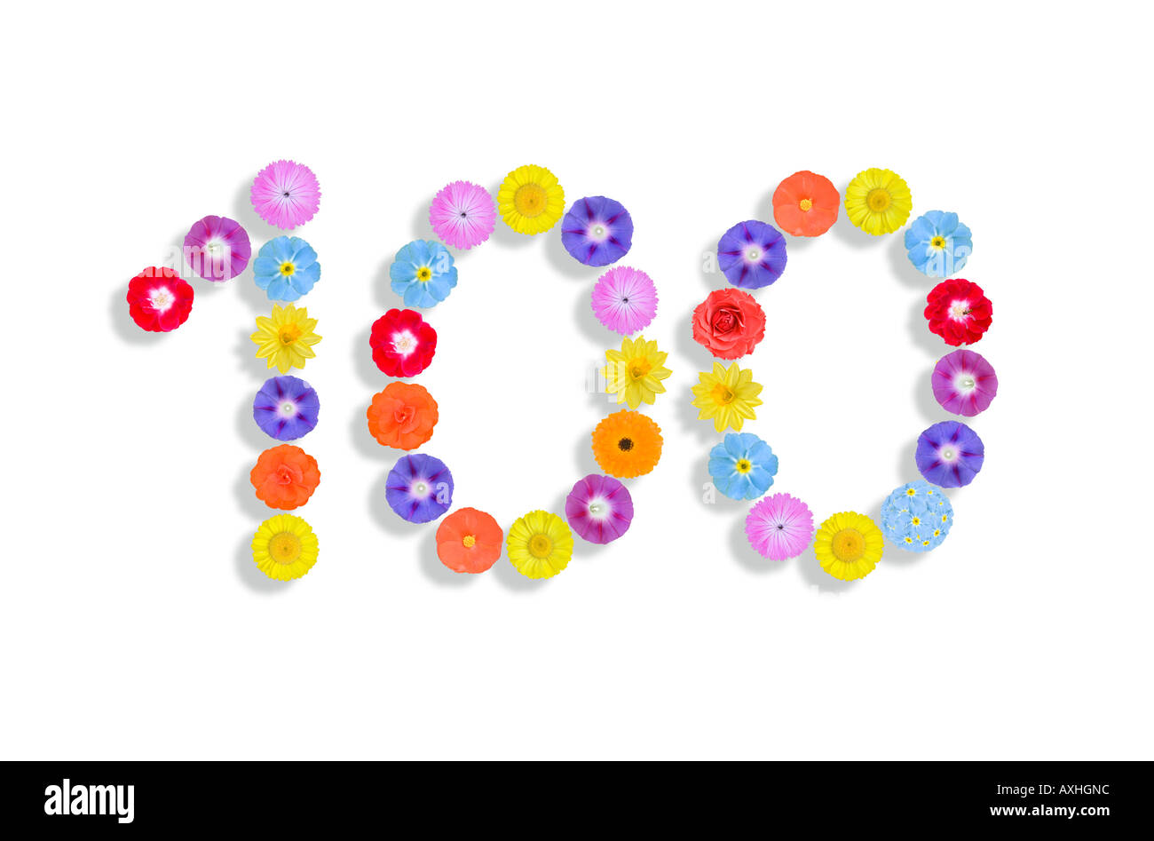 Number written flowers Cut Out Stock Images & Pictures - Alamy