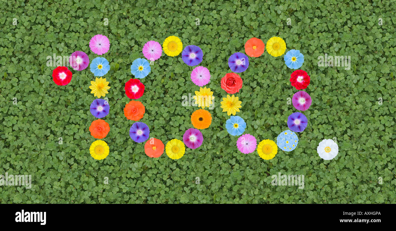 numbers written with flower heads 100th Stock Photo - Alamy