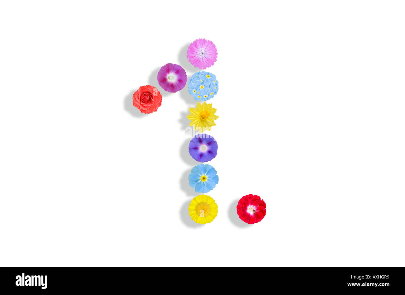 Numbers 1st Cut Out Stock Images & Pictures - Alamy