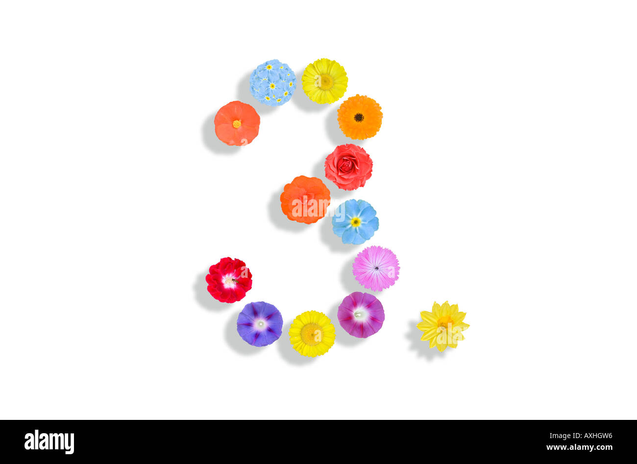 numbers written with flowers 3rd Stock Photo - Alamy