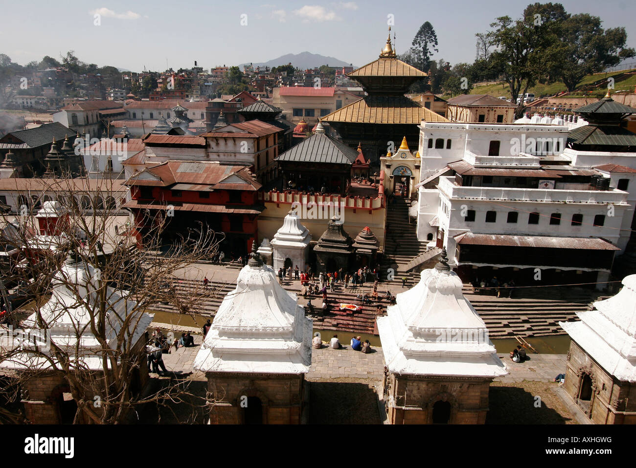 Pashupatinath temple near Kathmandu Stock Photo - Alamy